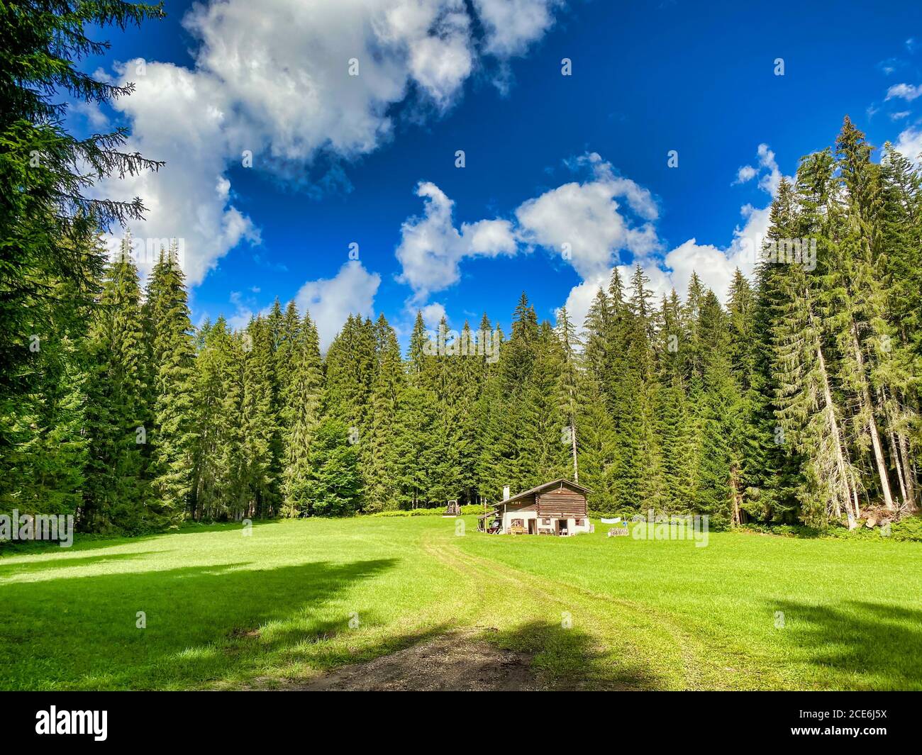 Wooden Hut in the middle of the forest Stock Photo - Alamy