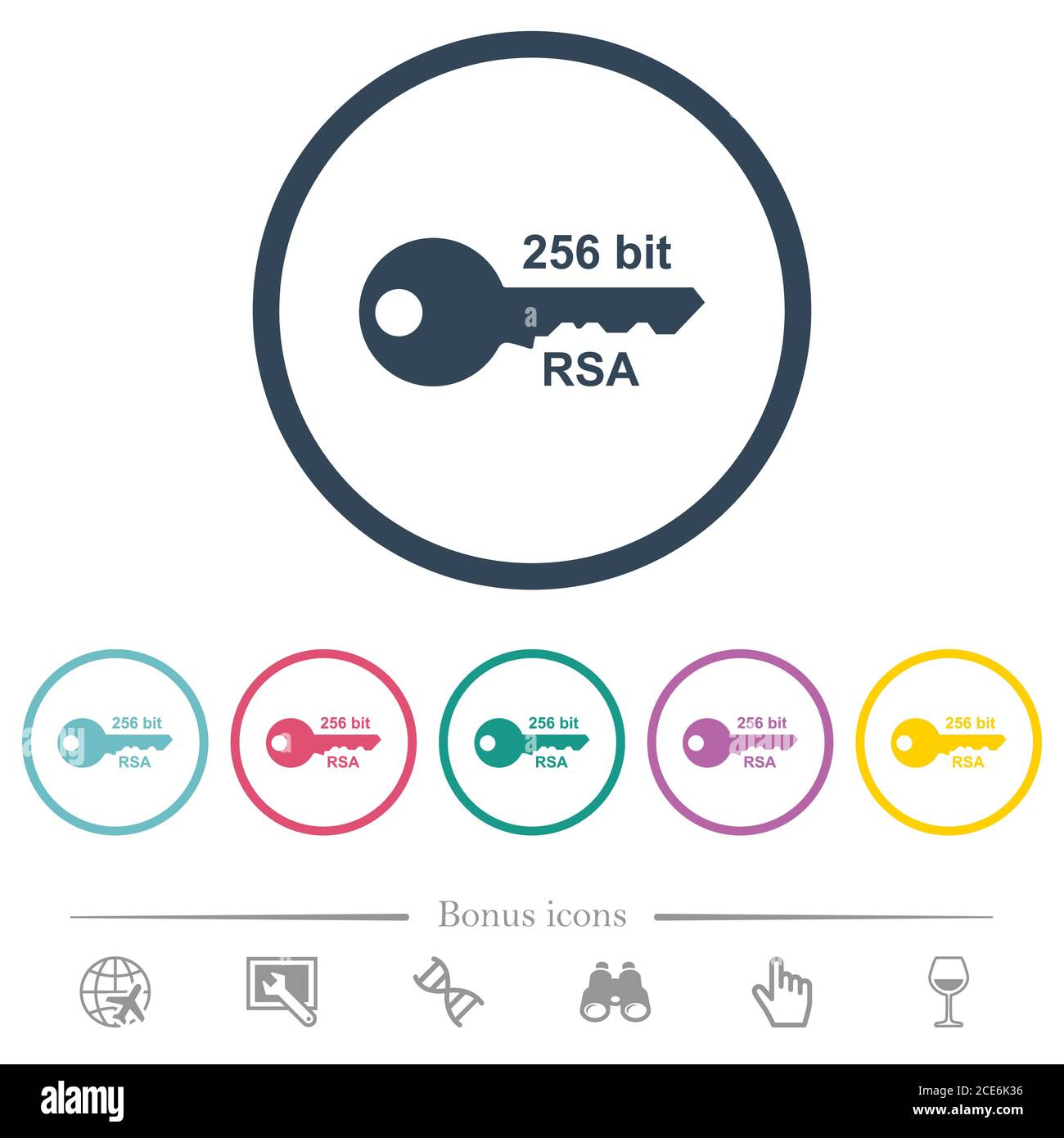 256 bit rsa encryption flat color icons in round outlines. 6 bonus ...