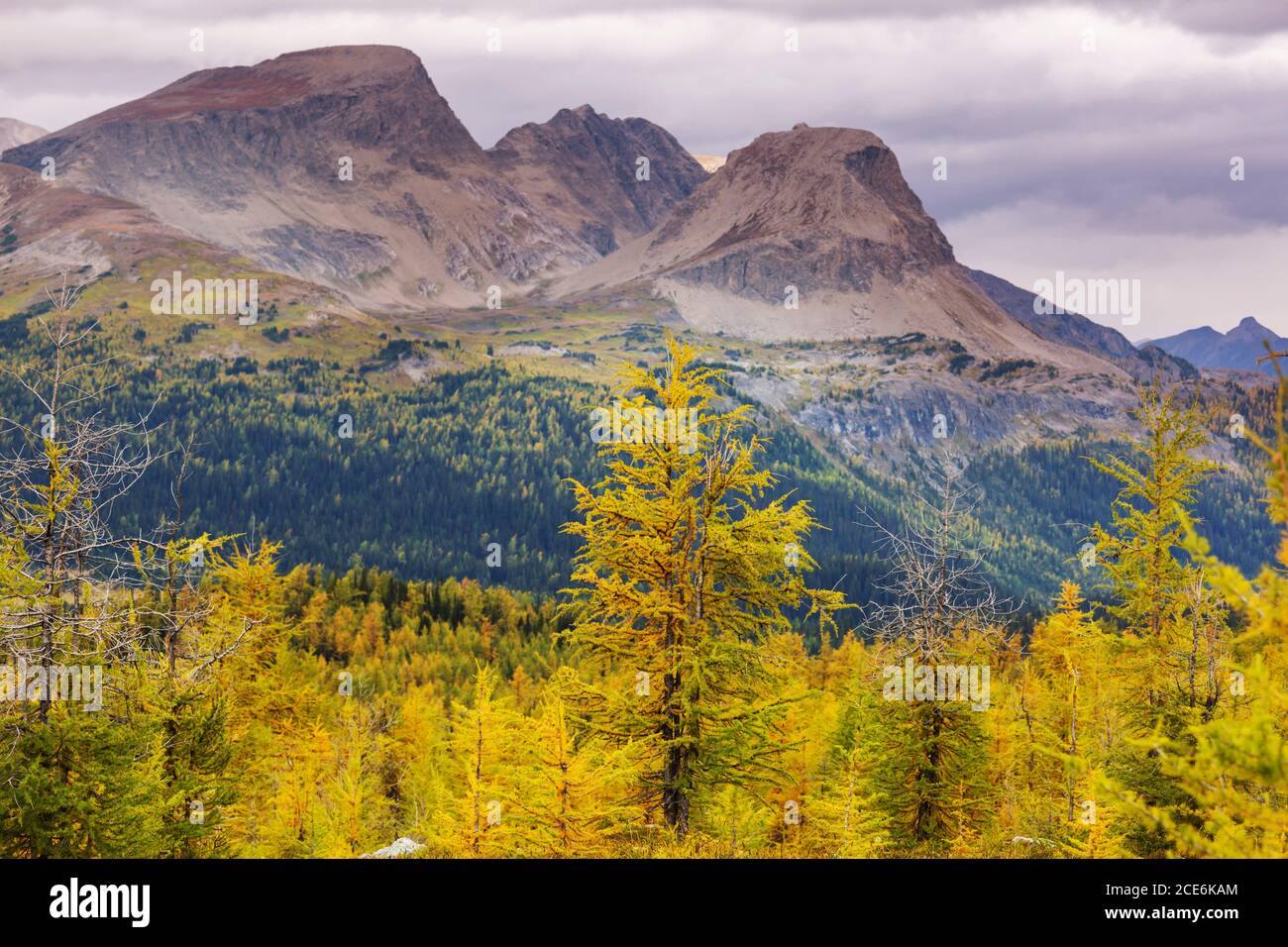 Autumn in Canada Stock Photo - Alamy