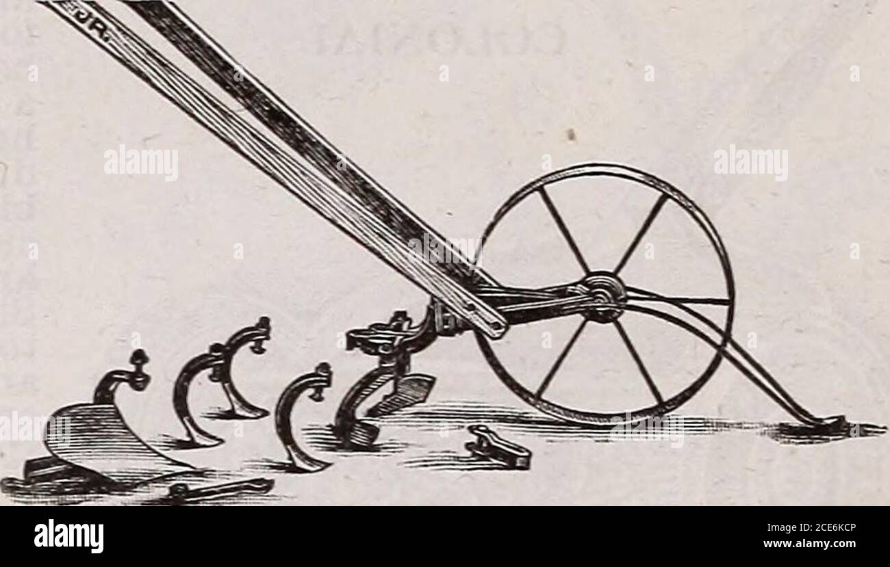 Perfectgardening hi-res stock photography and images - Alamy