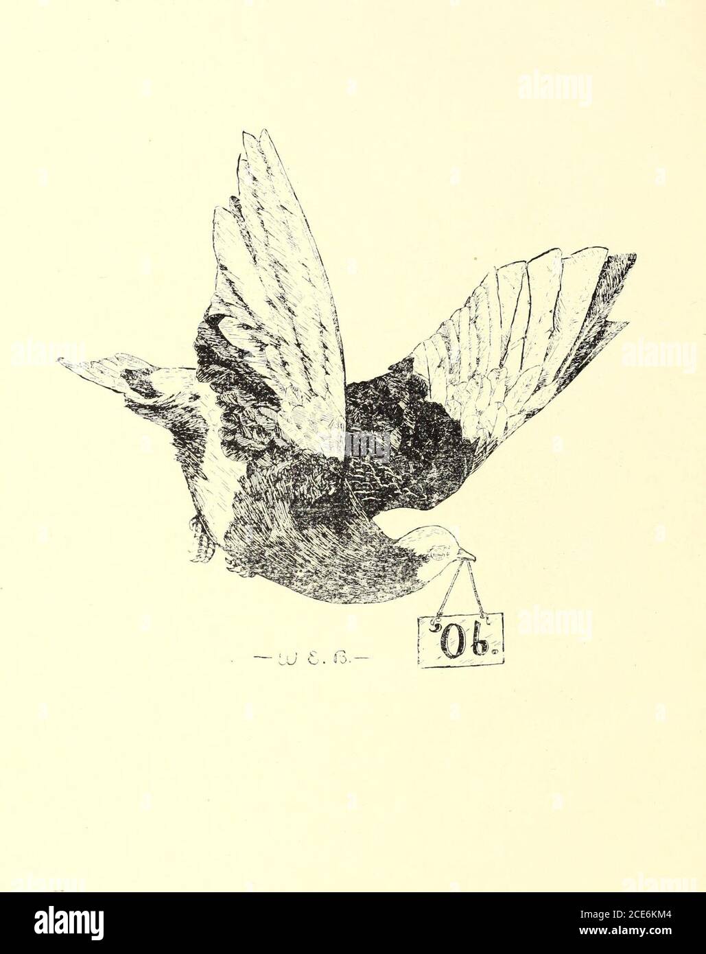 Ann acheson hi-res stock photography and images - Alamy