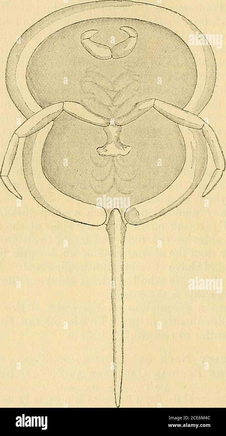 Seed architects hi-res stock photography and images - Alamy