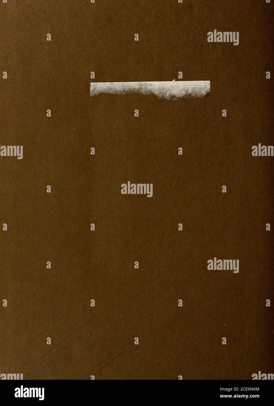 . X-ray . t ?9f&:C Stock Photo - Alamy