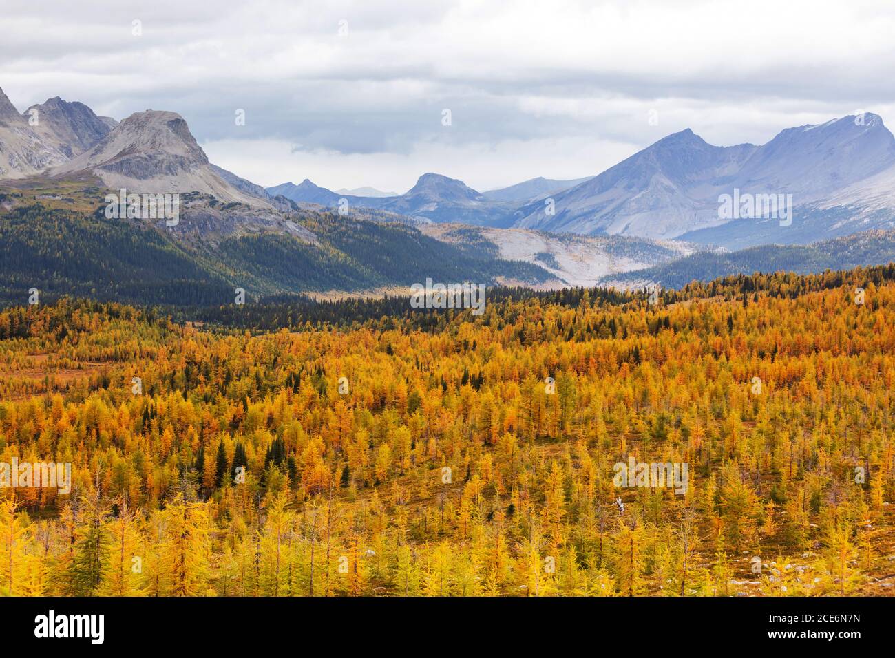 Autumn in Canada Stock Photo - Alamy
