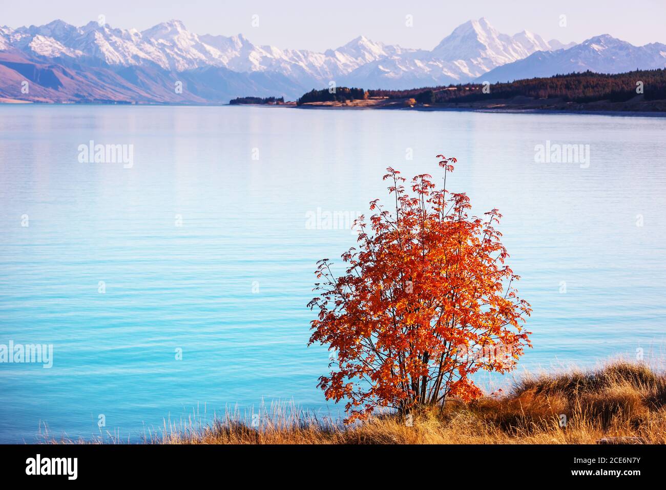 Autumn in New Zealand Stock Photo - Alamy