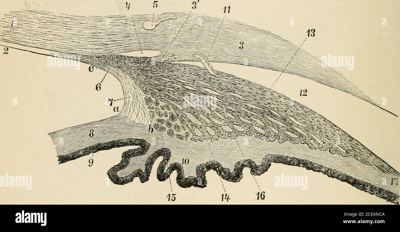 Upa triangular hi-res stock photography and images - Alamy