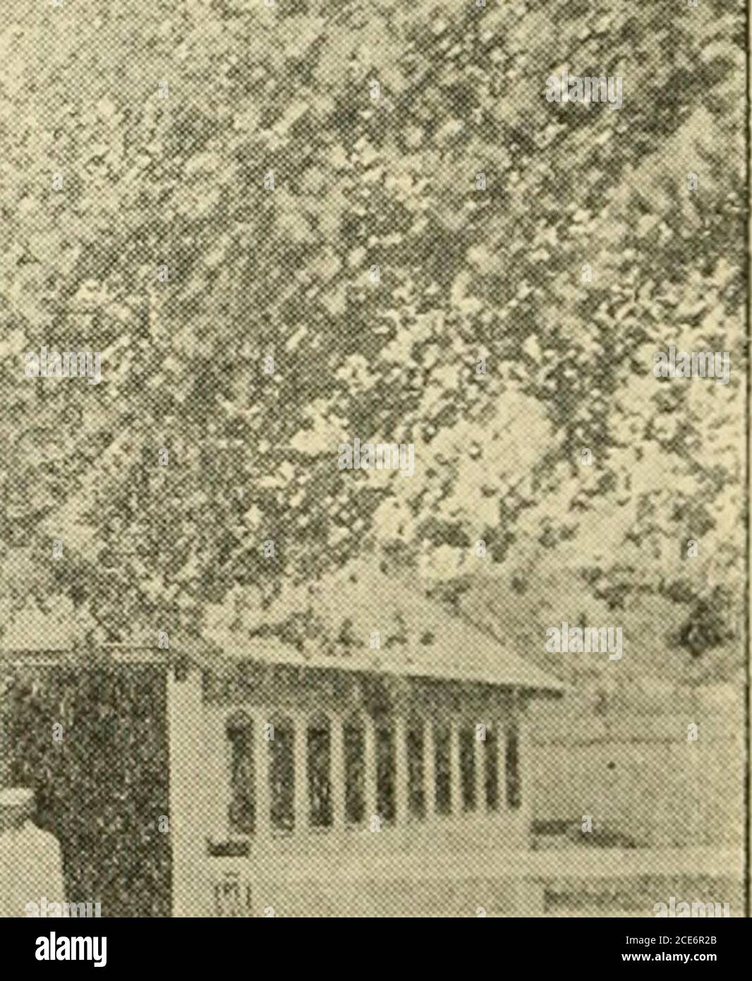 . Barn plans and outbuildings . Fig. 82 FLOOR PLAN OF IMPROVED COAV ...