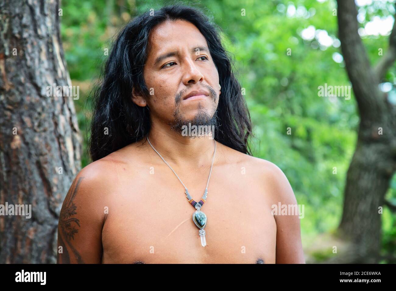 Native American Alone Forest High Resolution Stock Photography and ...