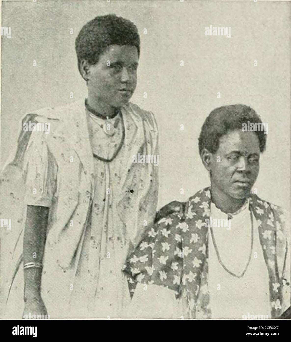 Grave coffin dug hi-res stock photography and images - Alamy