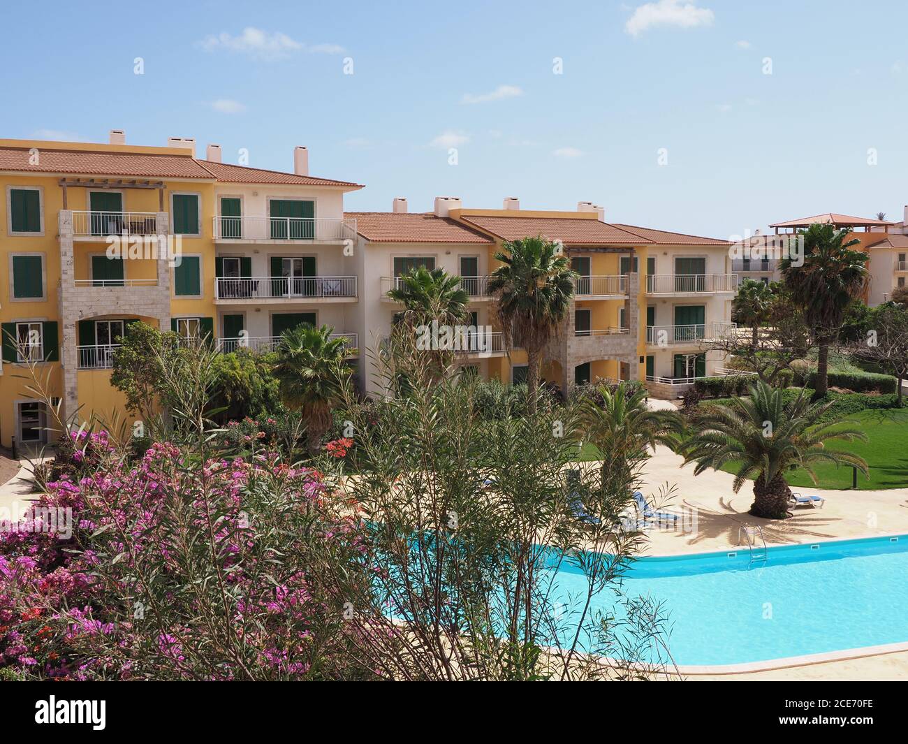 Beauty complex and exotic trees on Sal island in Cape Verde Stock Photo ...