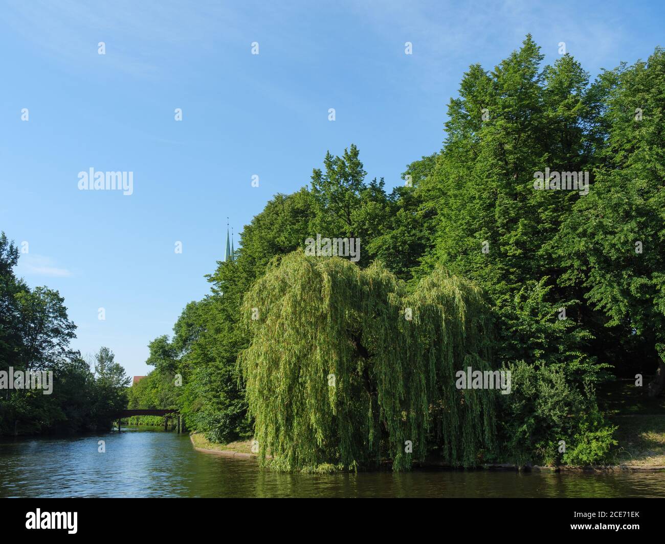trees at the river Stock Photo - Alamy