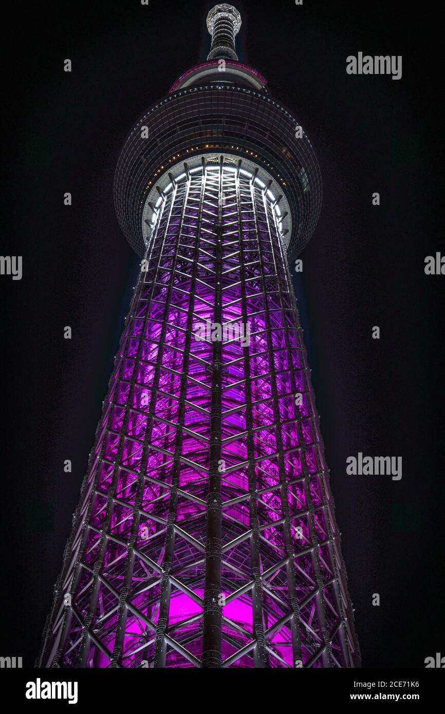 Sakura special light up hi-res stock photography and images - Alamy