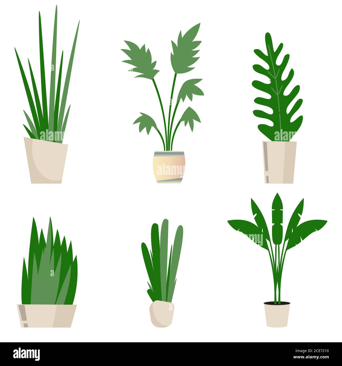 Natural elements interior design Stock Vector Images - Alamy