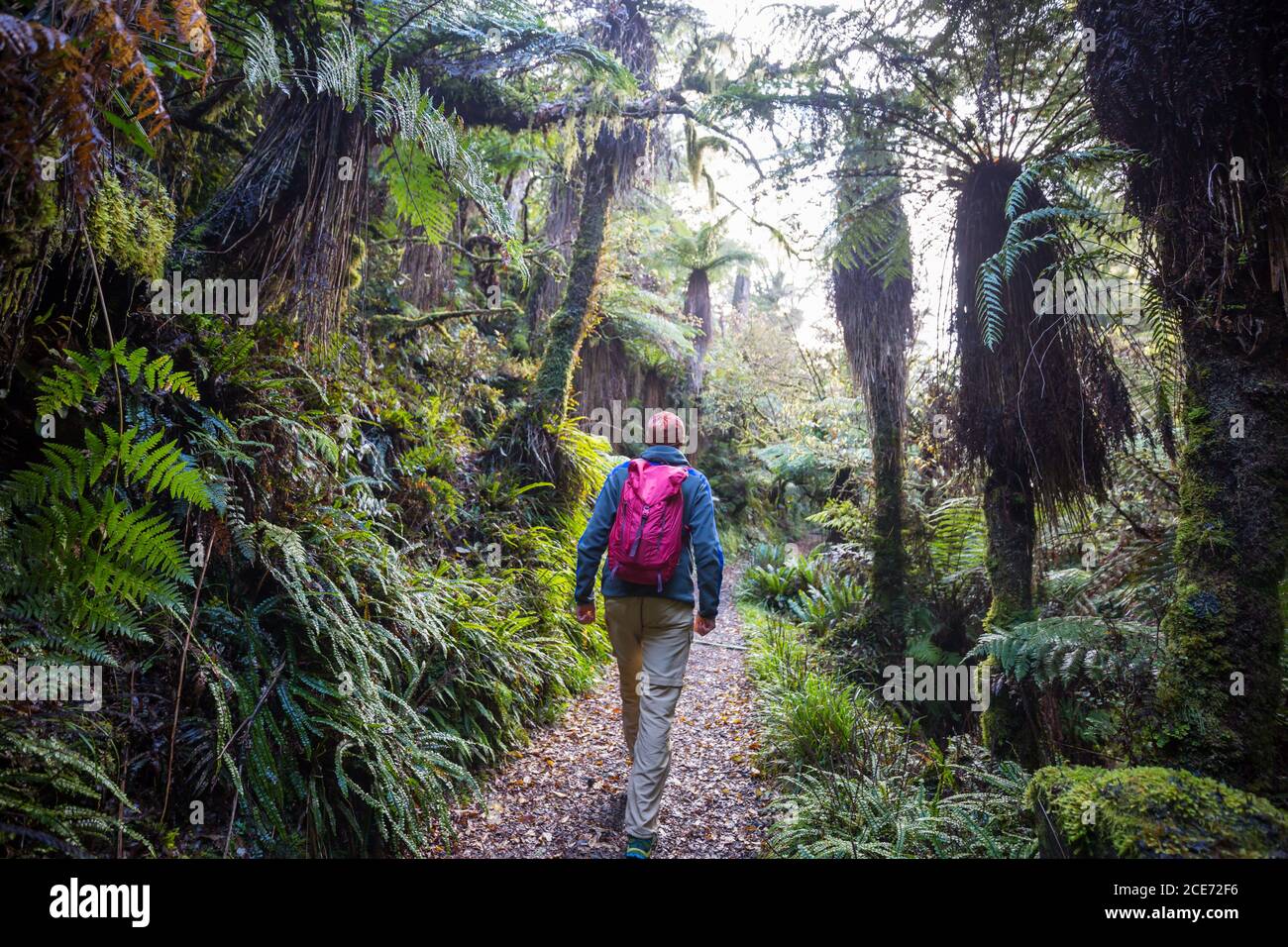 Boardwalk tram hi-res stock photography and images - Alamy