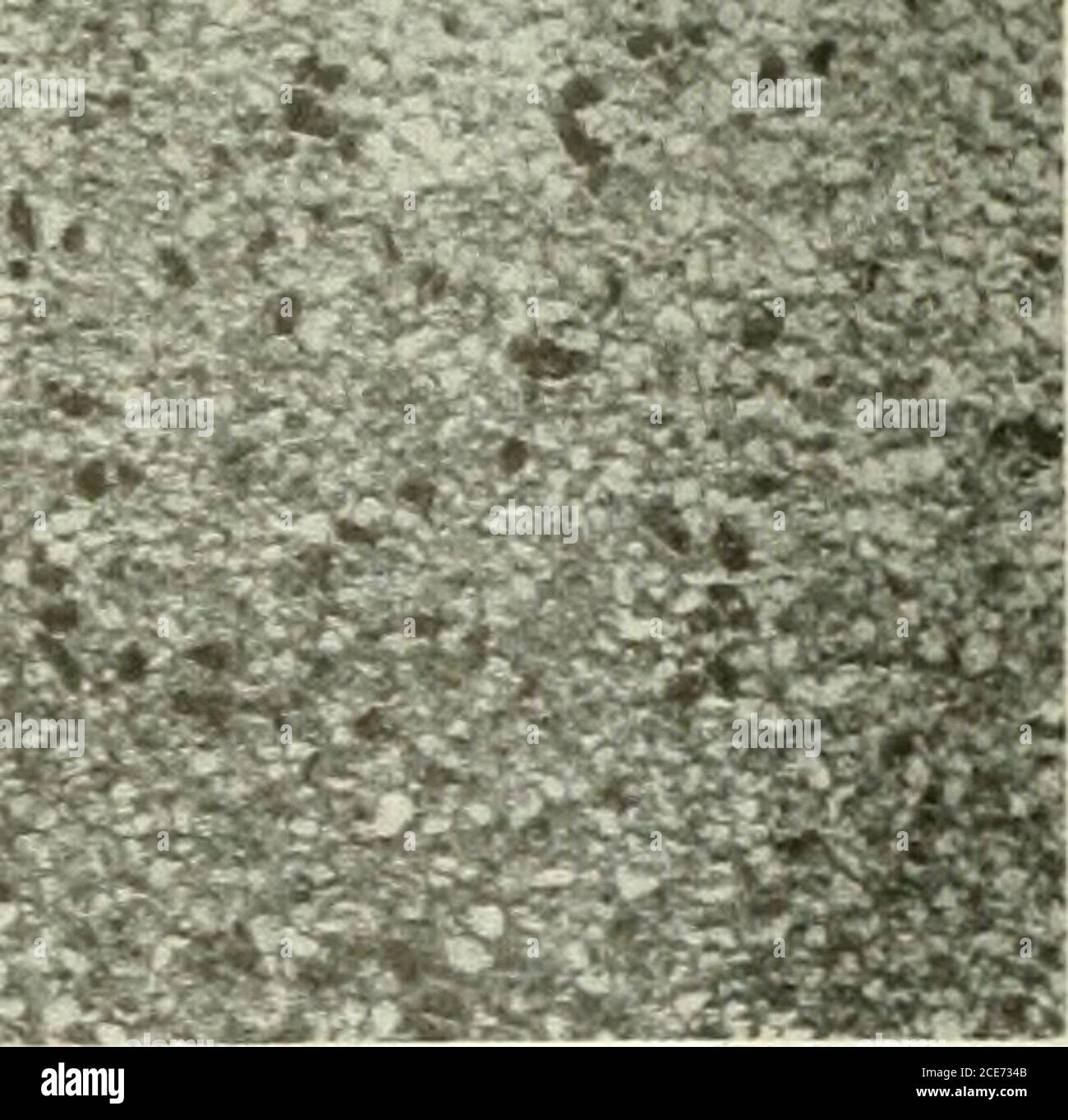 Exposed aggregate concrete slab hi-res stock photography and images - Alamy