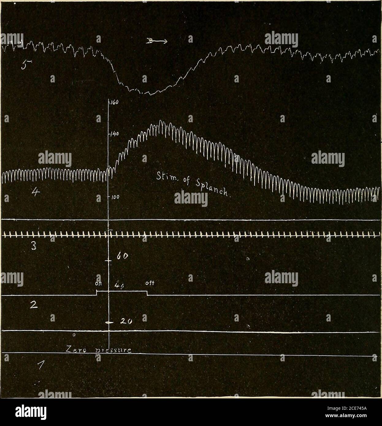 . A text-book of physiology : for medical students and physicians . or ...