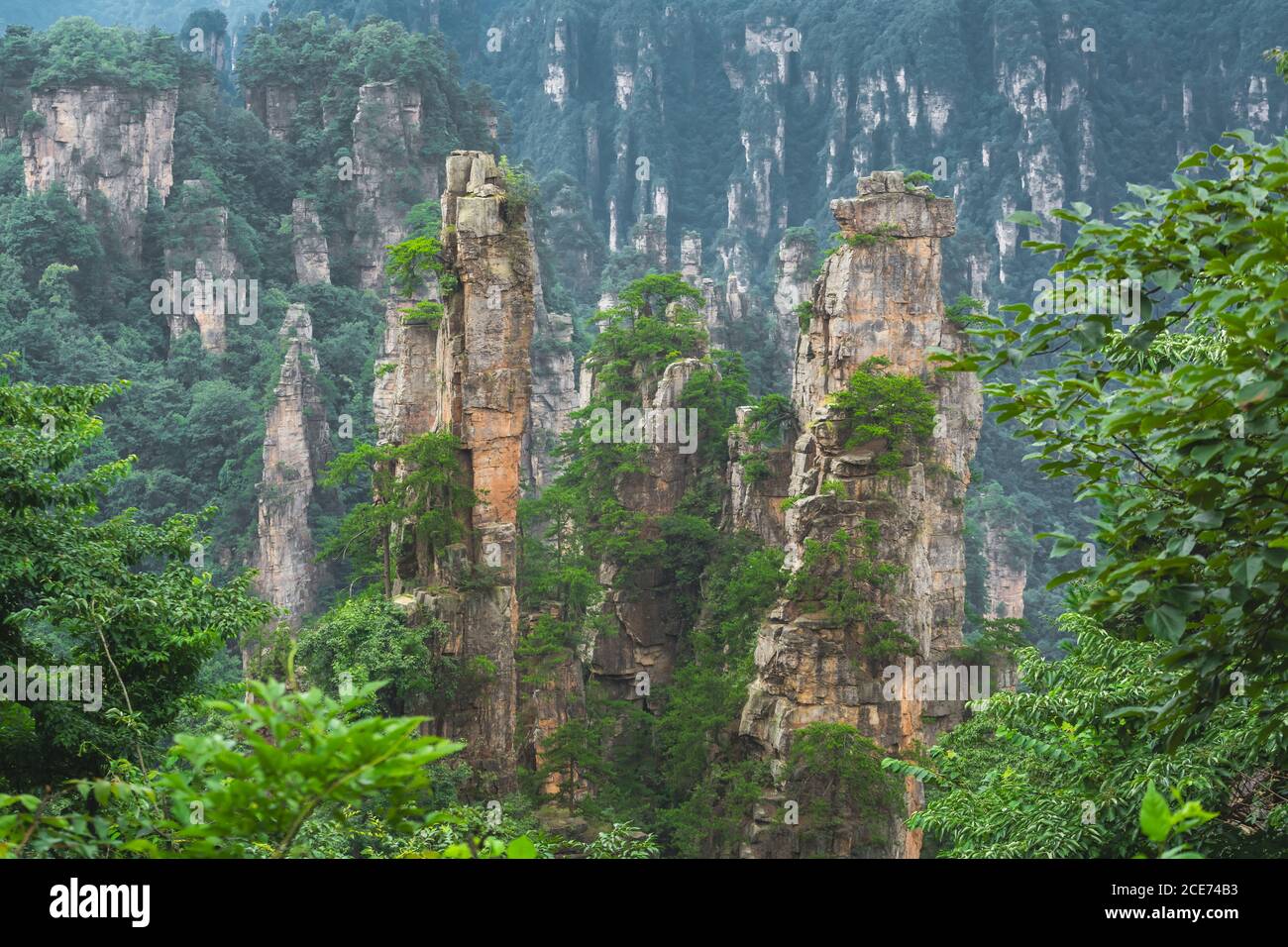 Landscape of Stone Tianzi Mountain pillars in Zhangjiajie Stock Photo ...