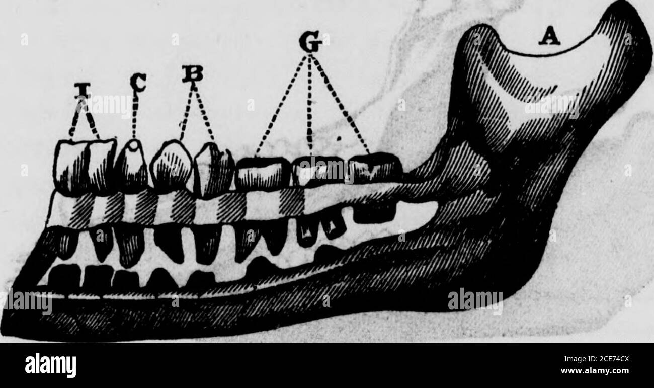 Hunger prevention Black and White Stock Photos & Images - Alamy