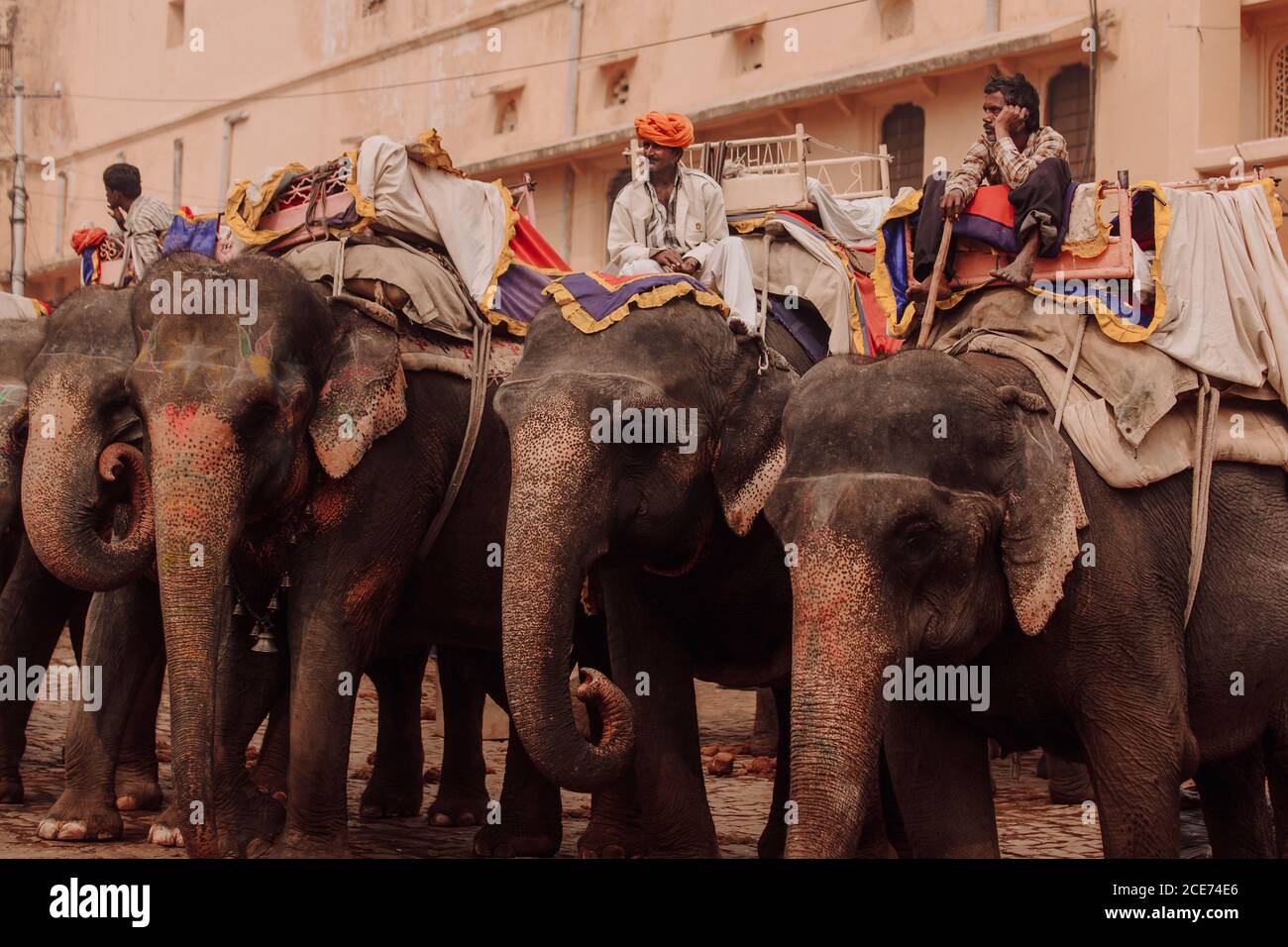 Group indian elephants in hi-res stock photography and images - Alamy