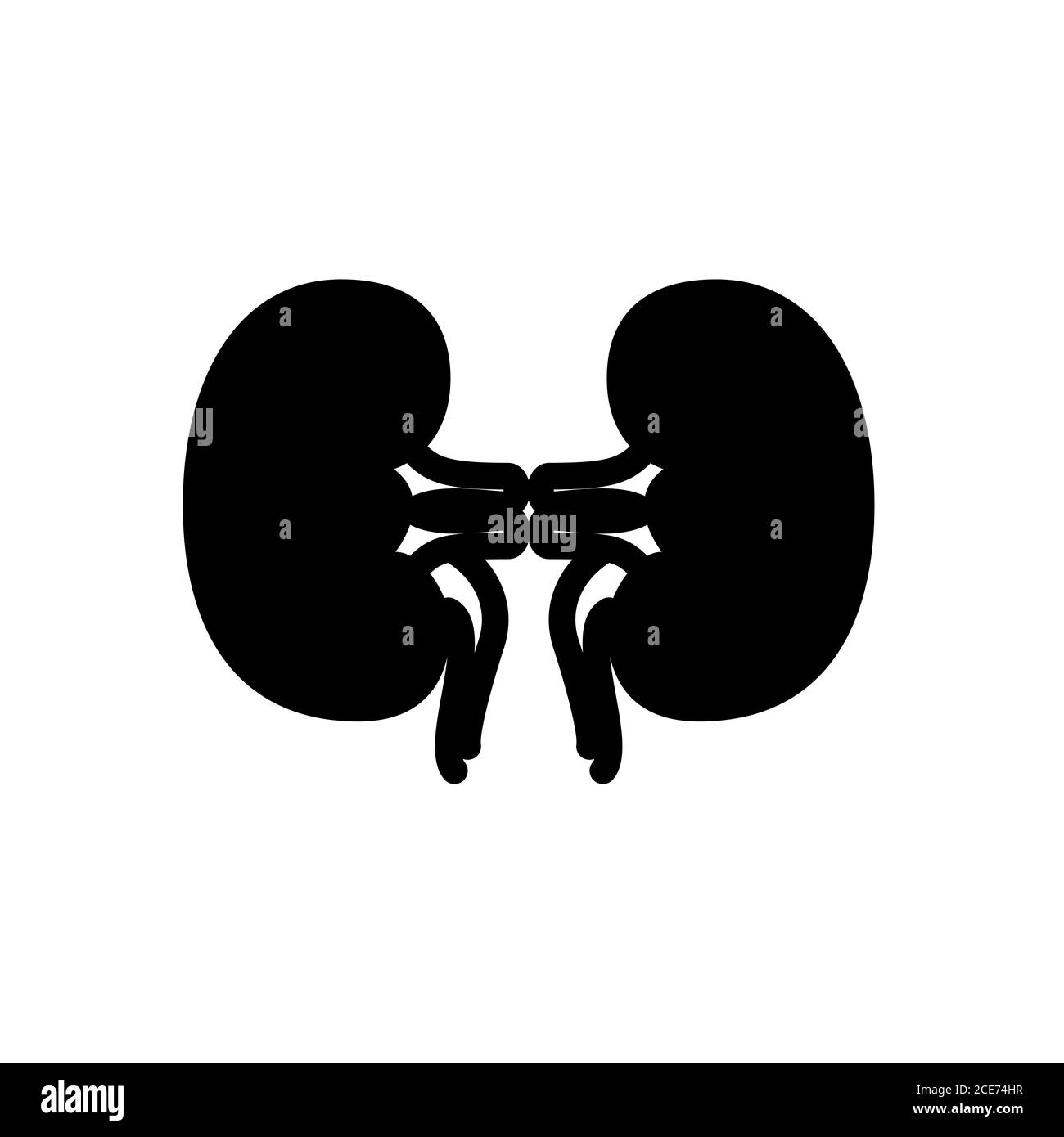Renal biology Black and White Stock Photos & Images - Alamy