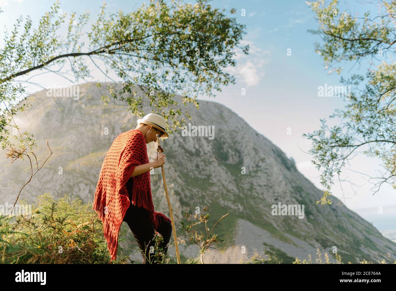 Side view of wanderer with wooden staff enjoying sunrise in morning and ...