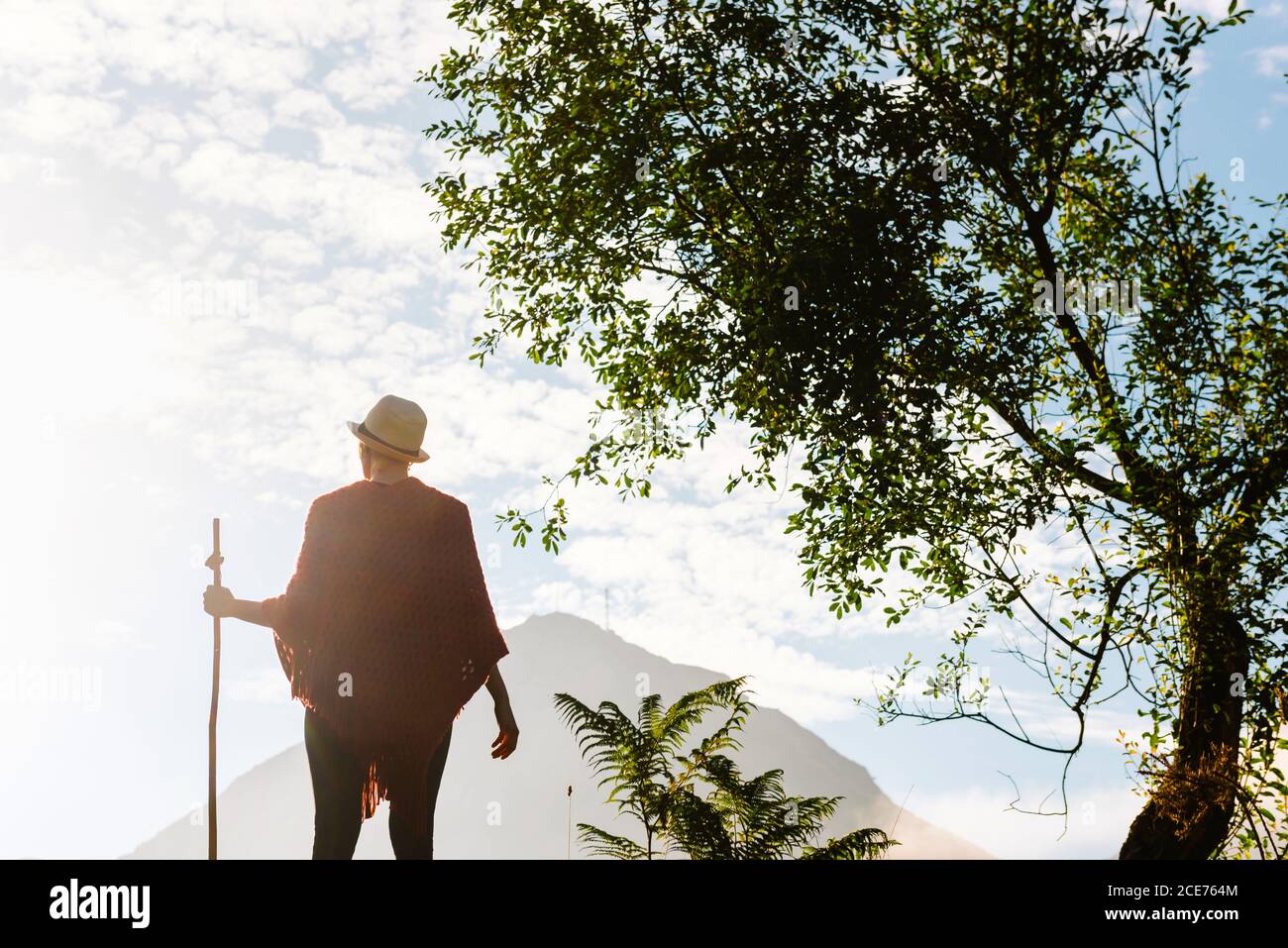 Back view of unrecognizable wanderer with wooden staff enjoying sunrise ...