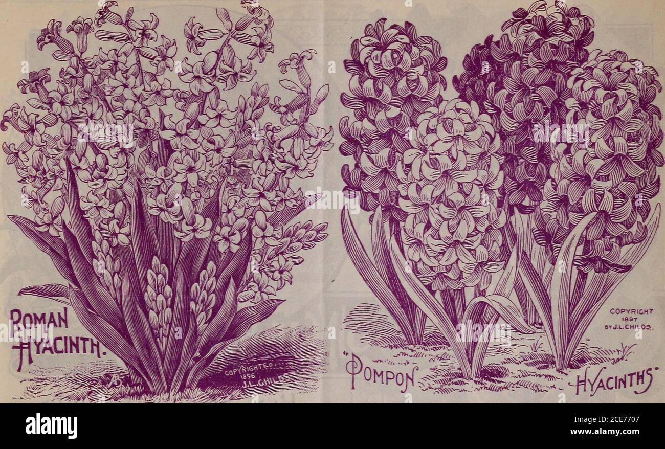 Poor surface preparation hi-res stock photography and images - Alamy