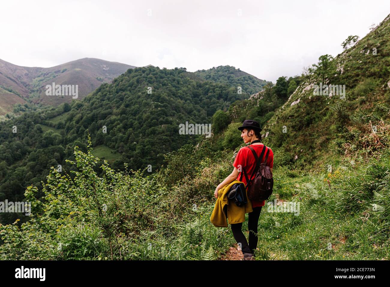 Back view female tourist hiking in countryside and admiring scenery of ...