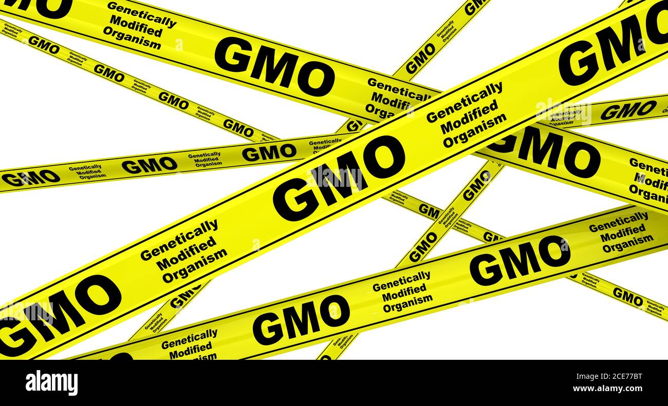 Genetically Modified Organism. Yellow warning tapes with inscription ...