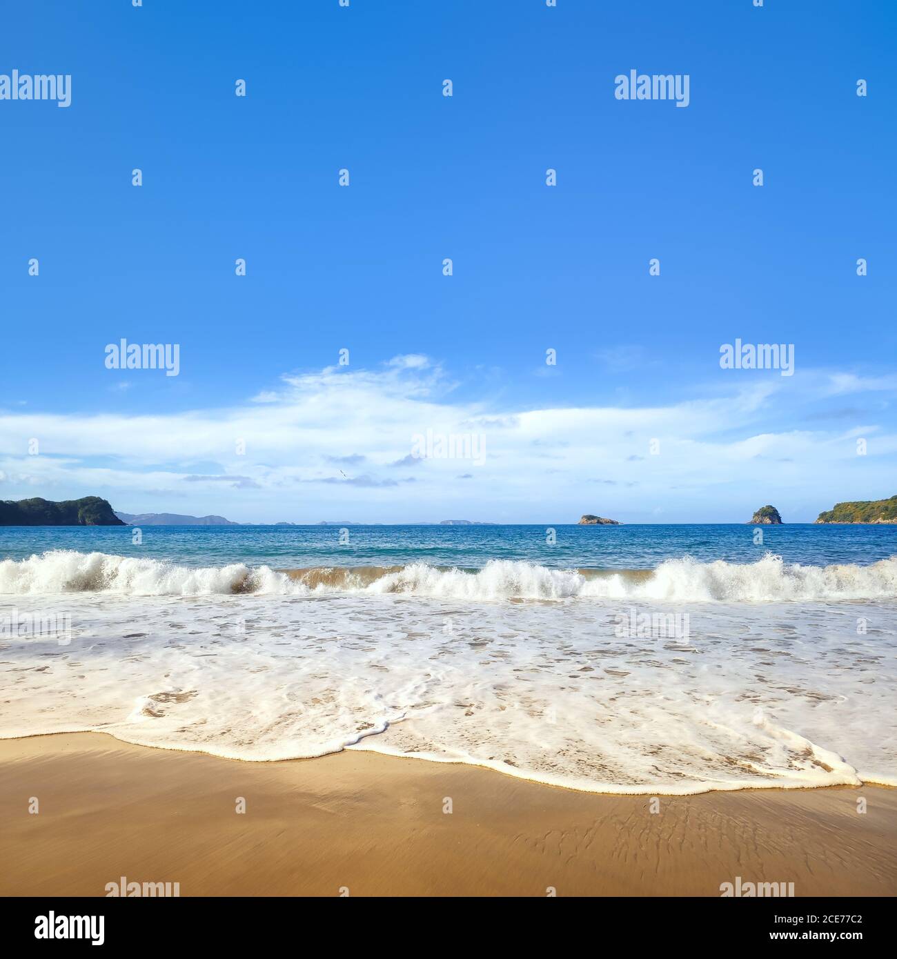 Hahei beach new zealand hi-res stock photography and images - Alamy