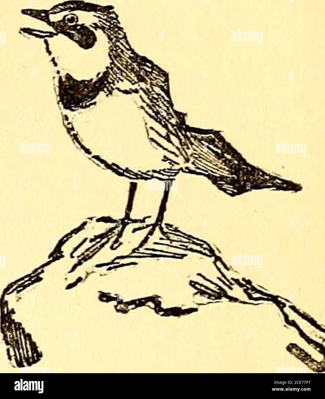 Wing yan hi-res stock photography and images - Alamy