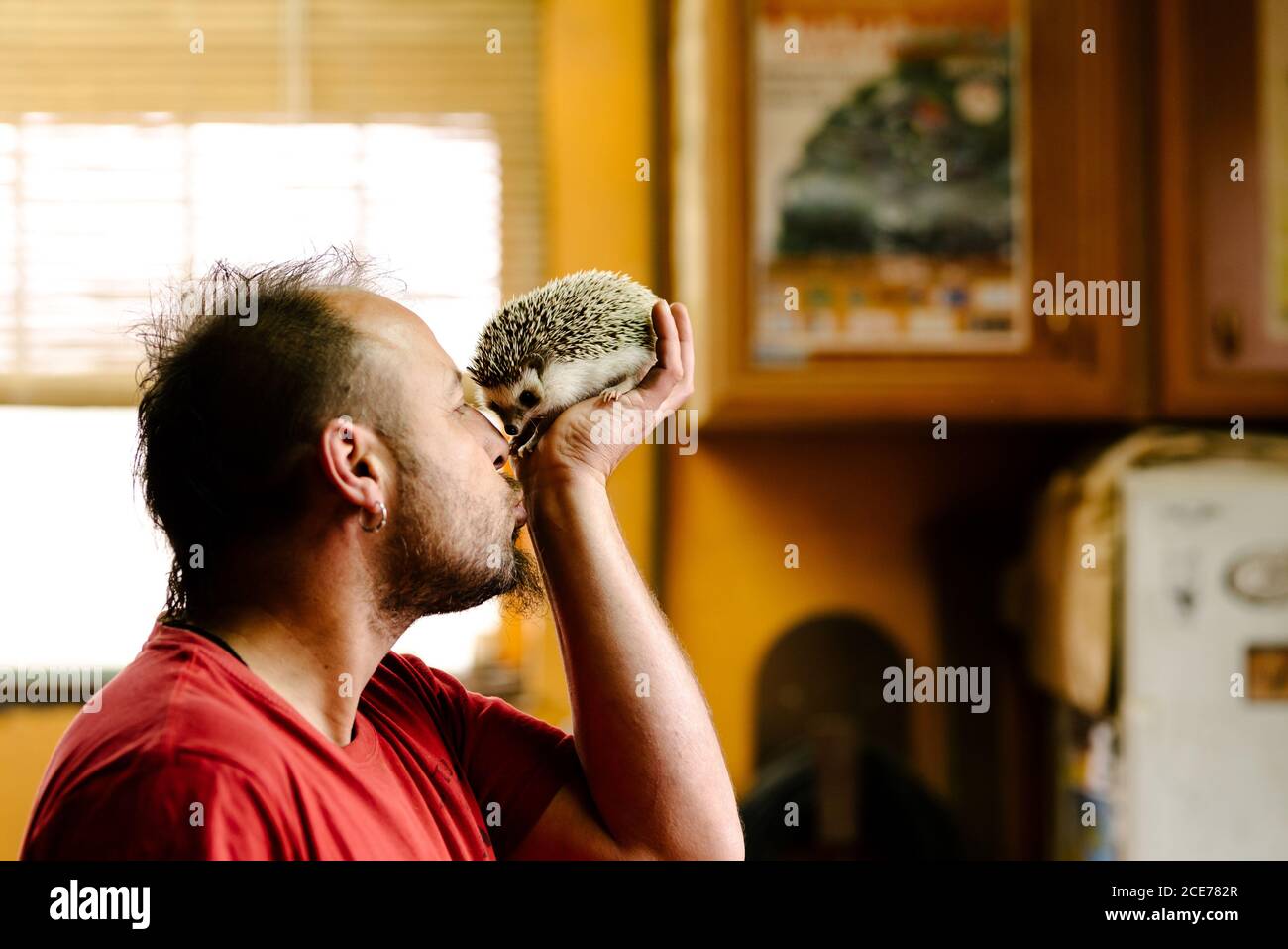 Male hedgehog hi-res stock photography and images - Alamy