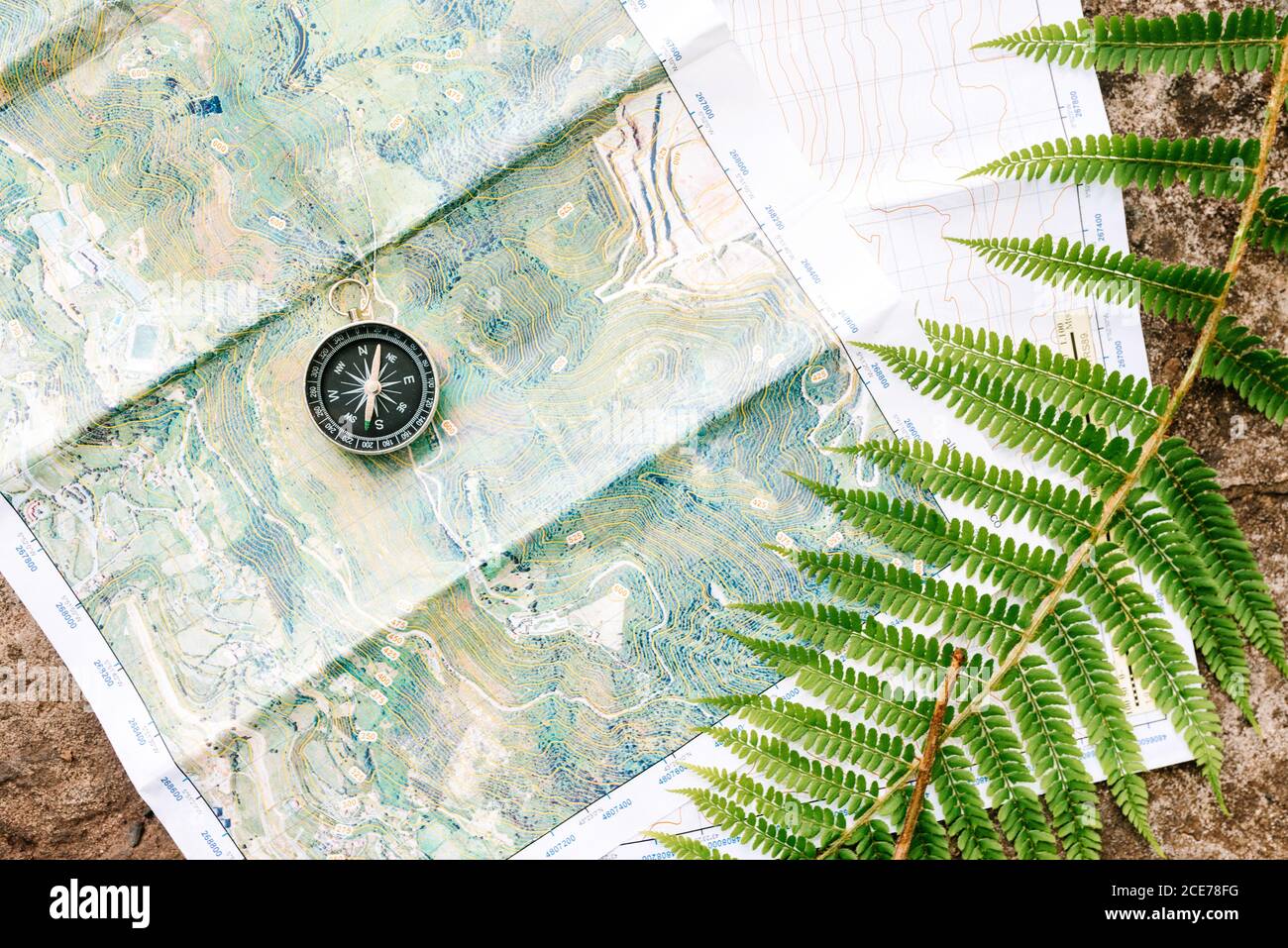 Flora map hi-res stock photography and images - Alamy