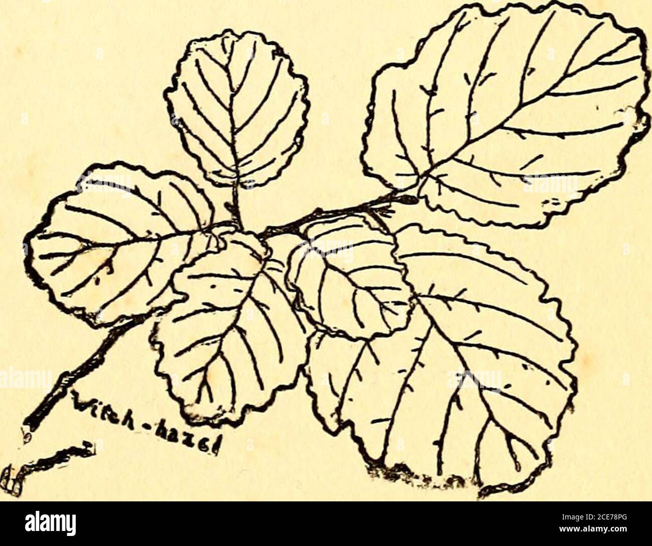 Three little injuns hi-res stock photography and images - Alamy