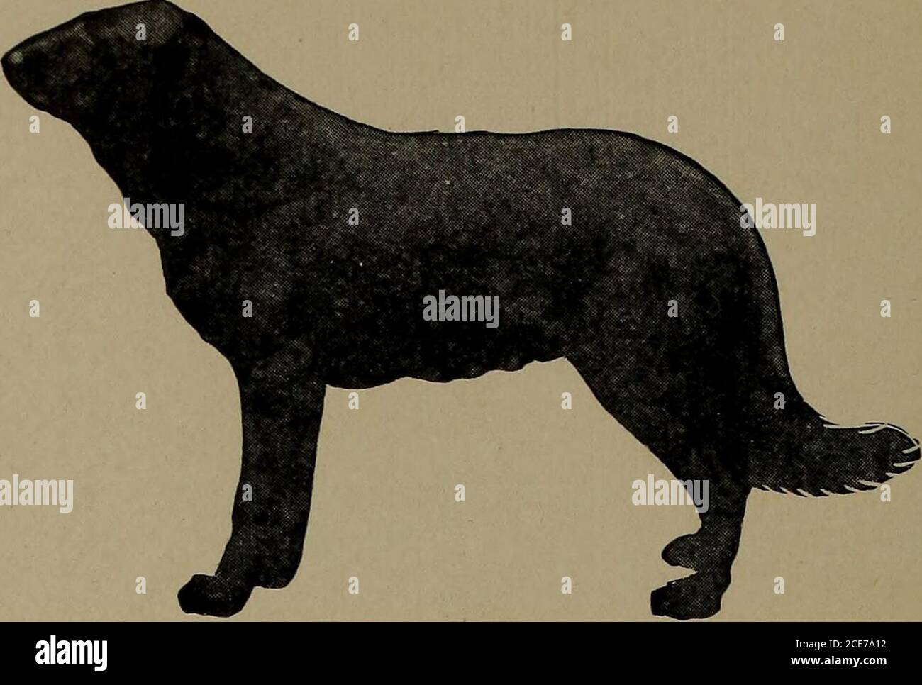 . Dogs of all nations. In prose and rhyme . LI. FRENCH DOG. The French ...