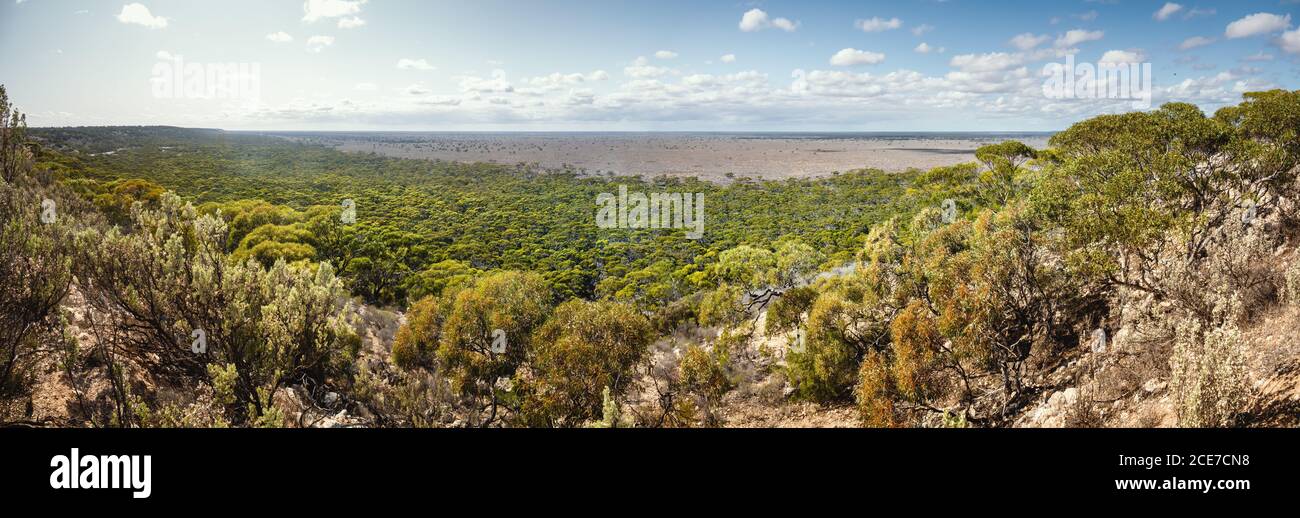 landscape scenery at Nullarbor region south Australia Stock Photo - Alamy