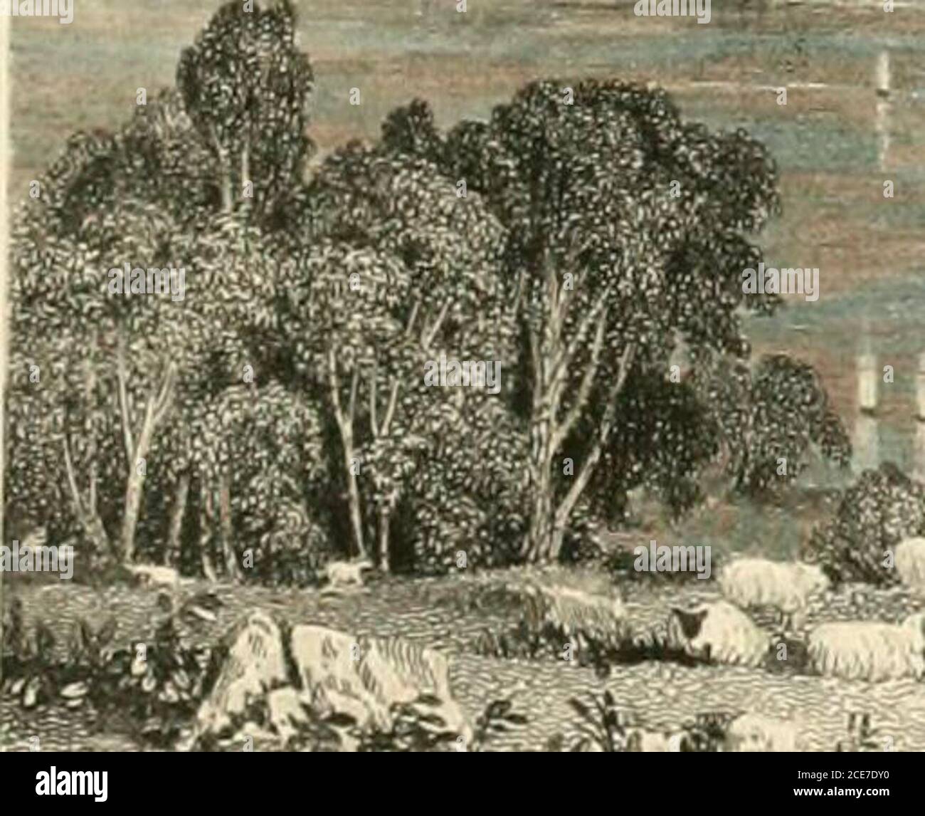 . Westmoreland, Cumberland, Durham, and Northumberland, illustrated ...