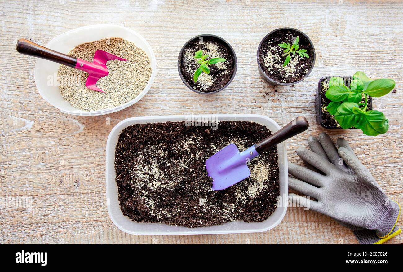 Mixing vermiculite granules pellets with black gardening soil improves ...