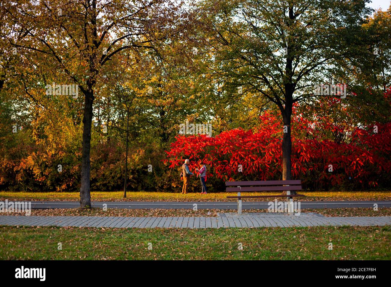 Katowice three ponds valley hi-res stock photography and images - Alamy