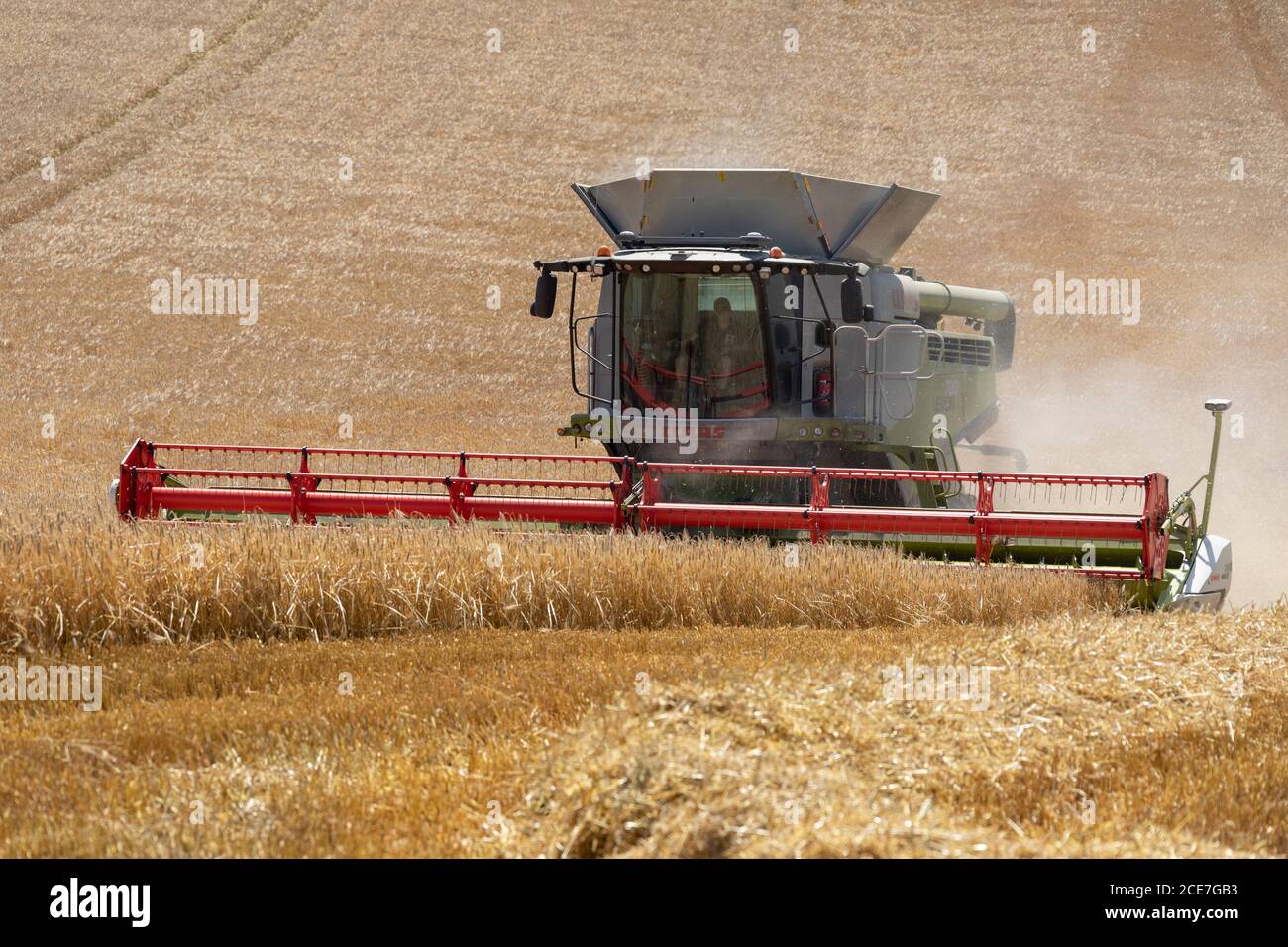 Harvesting harvest hi-res stock photography and images - Alamy