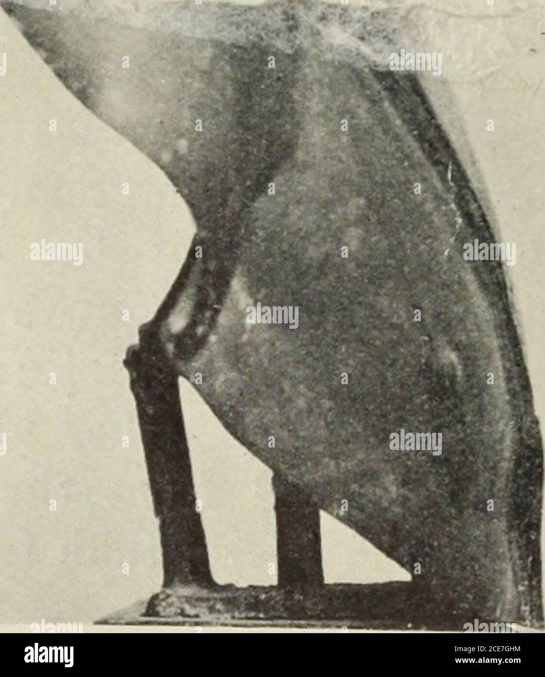 . Greek athletic sports and festivals . Fig. 16.—Bronze head of ephebos ...