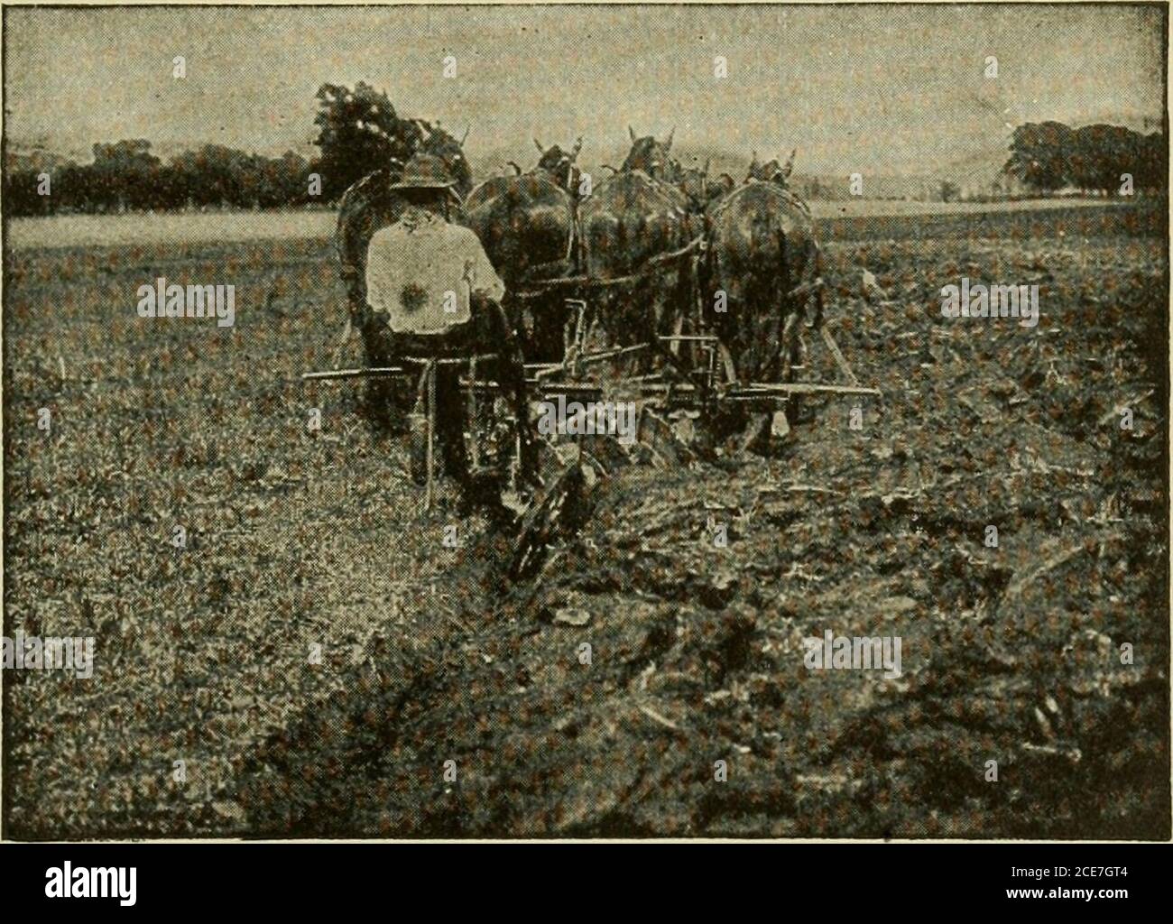 . Agriculture; a text for the school and the farm . A modern type of ...