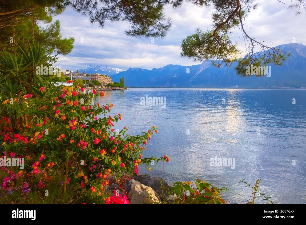 Flowers and Lake Geneva, Switzerland Stock Photo - Alamy