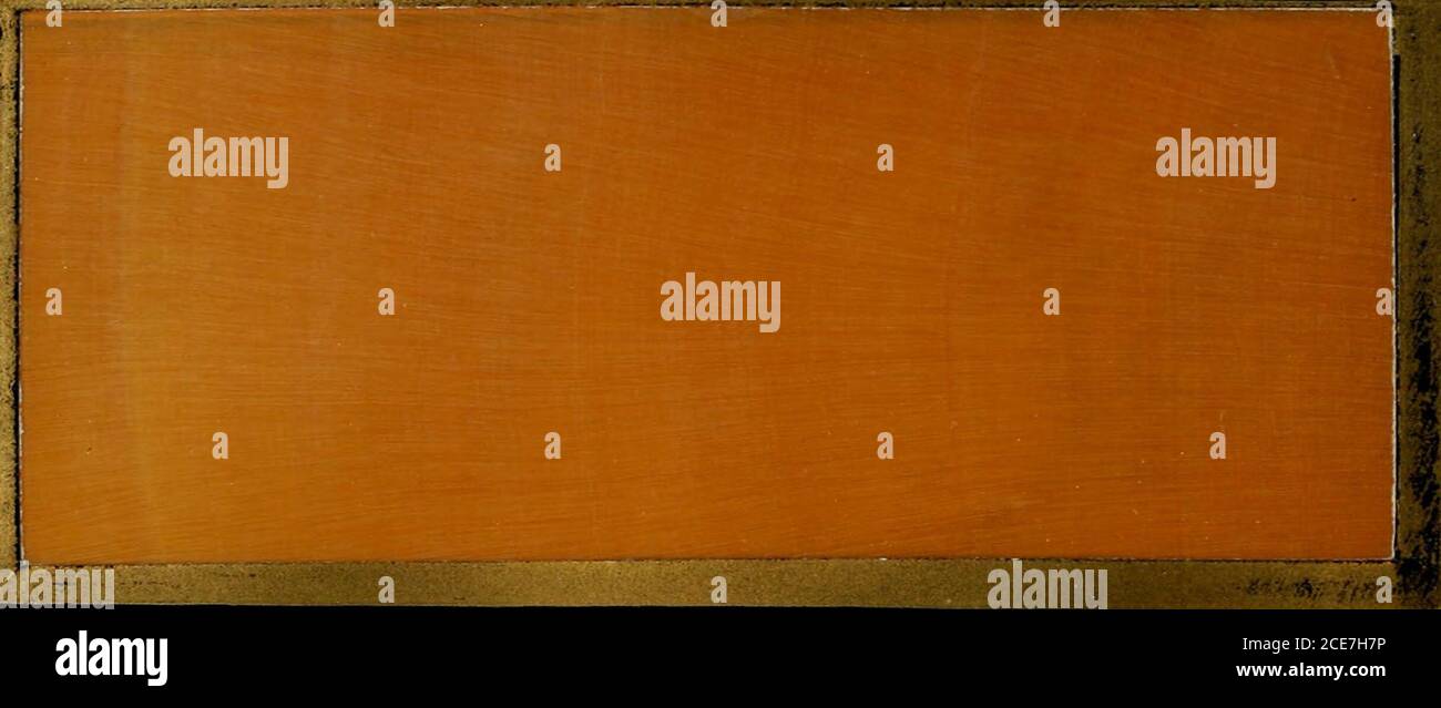 Alaska yellow cedar hi-res stock photography and images - Alamy