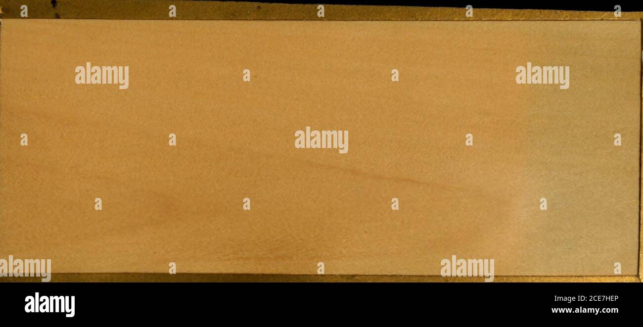 Alaska yellow cedar hi-res stock photography and images - Alamy