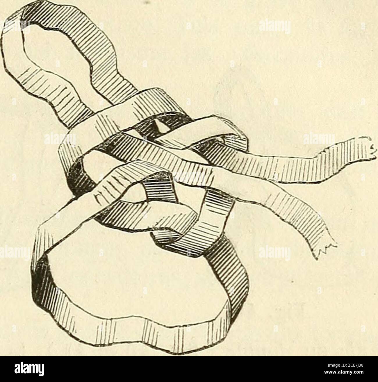 . Manuel de petite chirurgie . » ^^ Ing-. 3o. pie et la double rosette ...