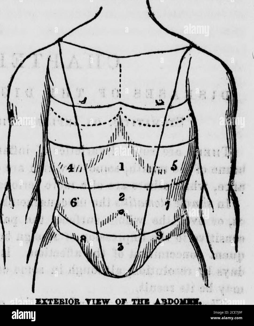 2 small ribs Black and White Stock Photos & Images - Alamy