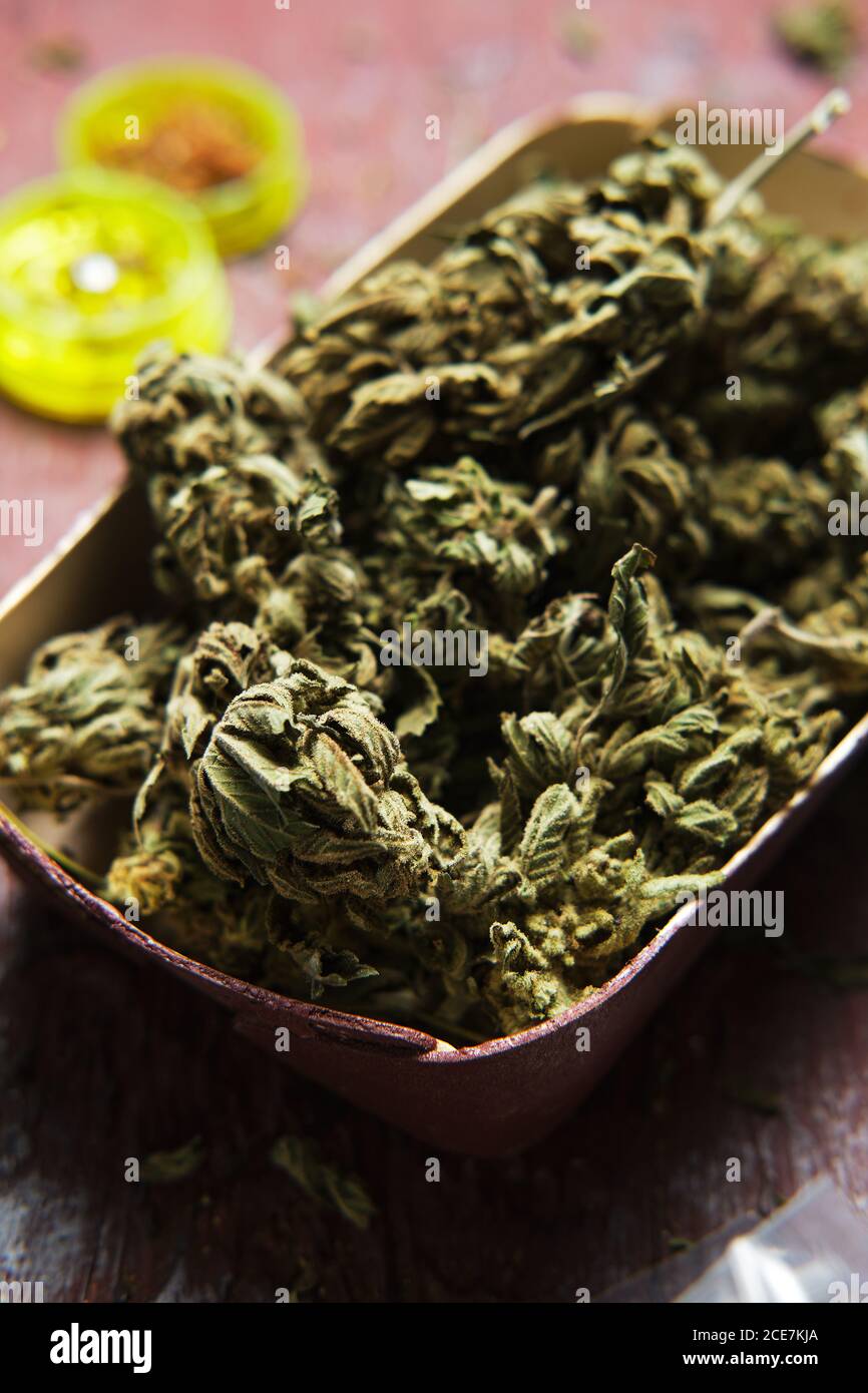 Scattered buds hi-res stock photography and images - Alamy