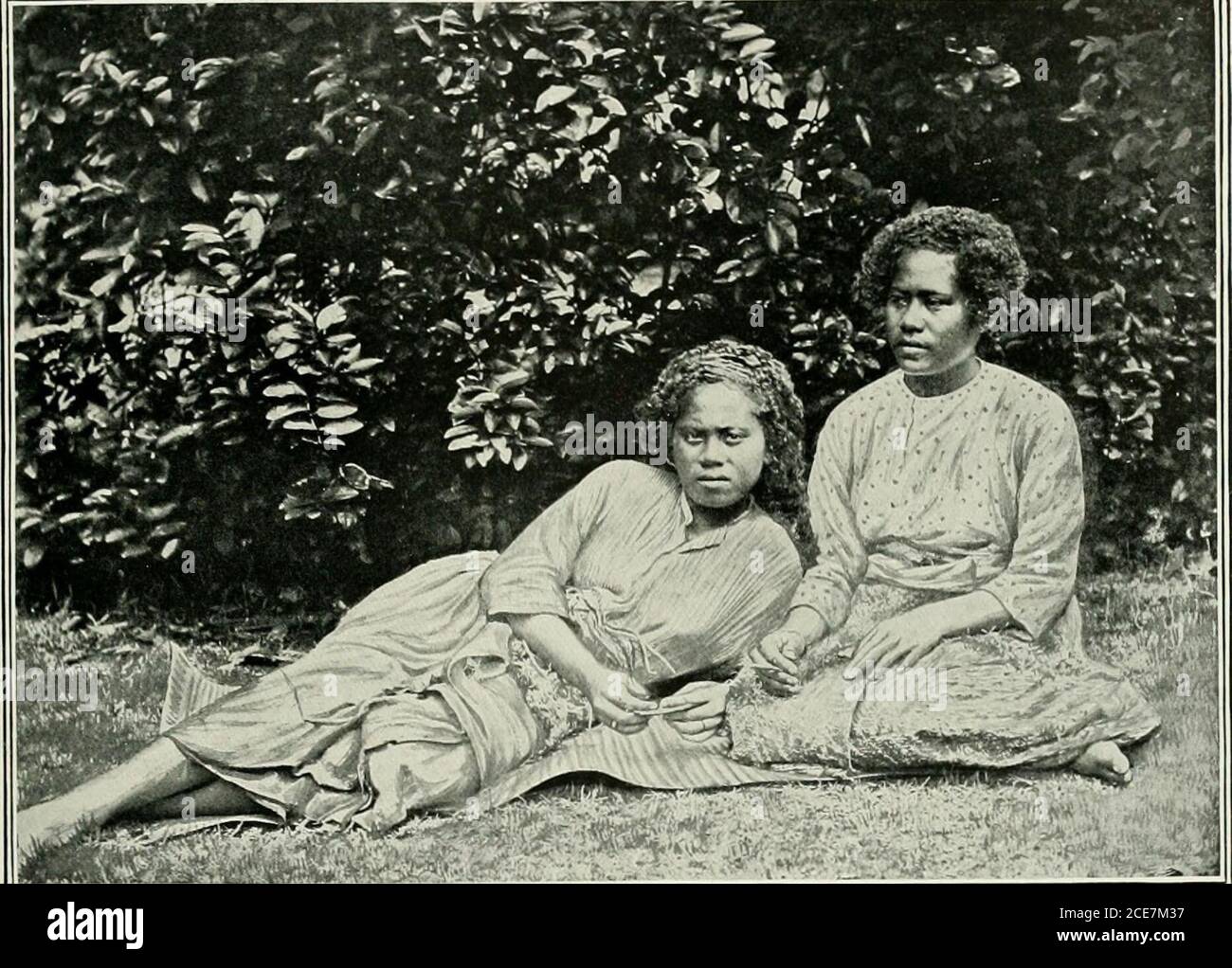 Tongan chief hi-res stock photography and images - Alamy