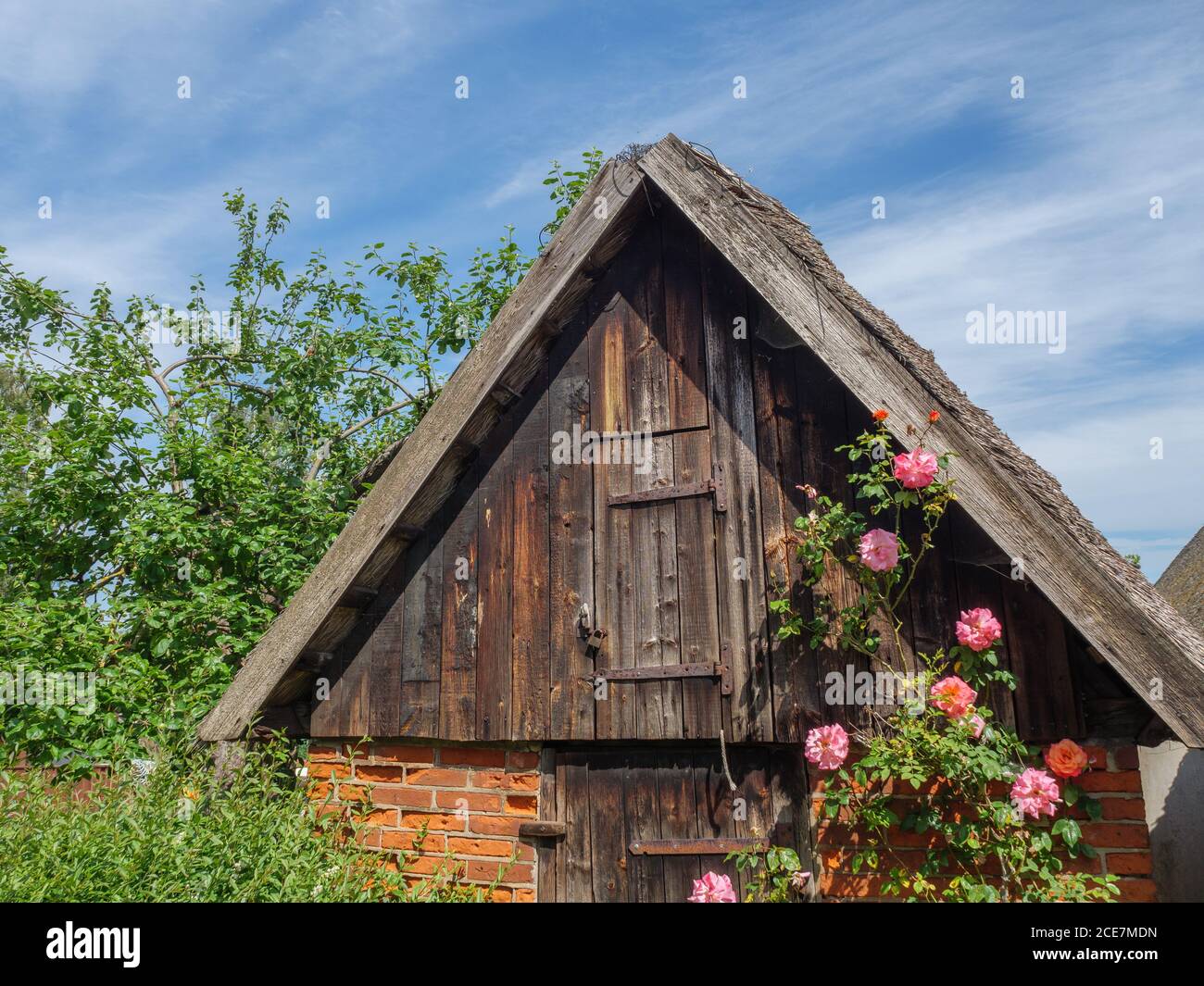 small house with roses Stock Photo - Alamy